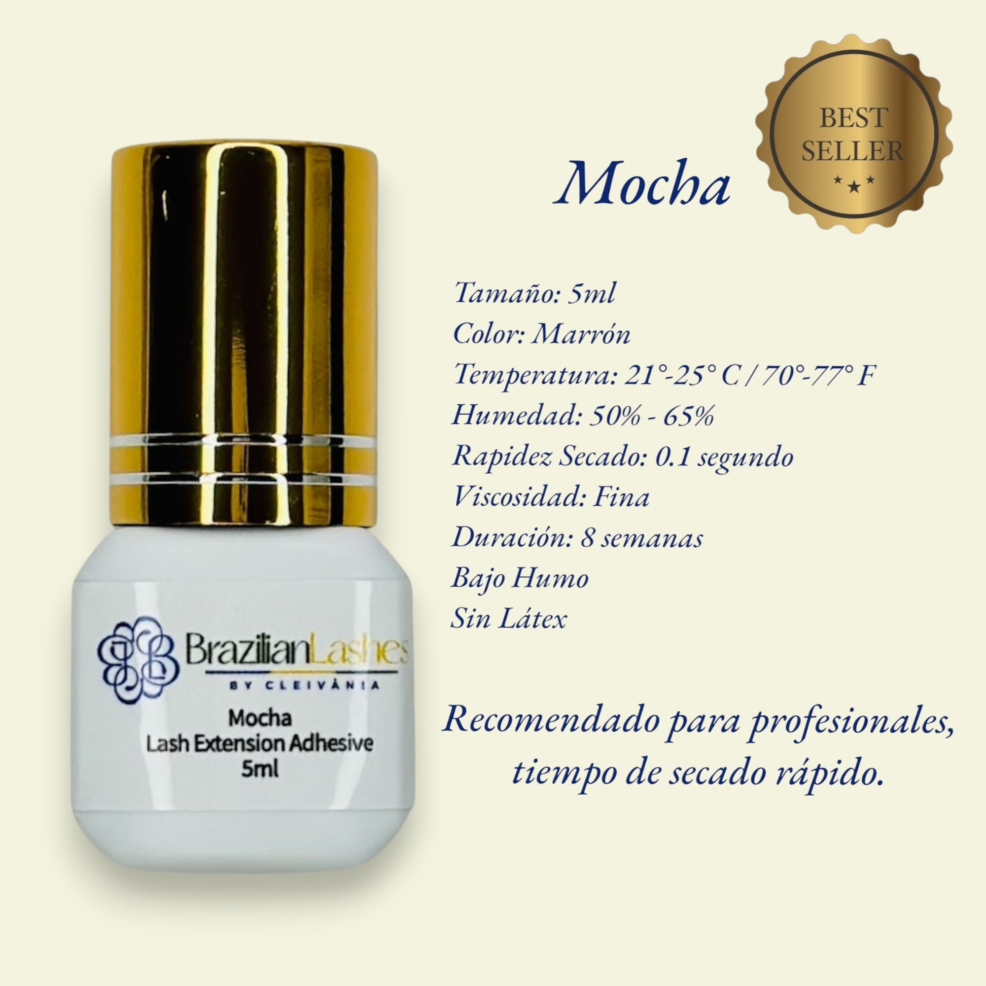 Mocha – Brazilian Lashes